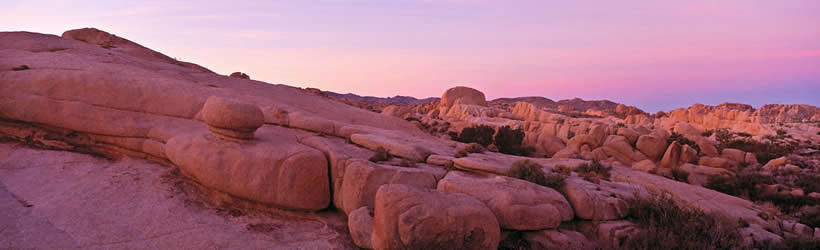 Offroad - Jeep - ATV Information for Joshua Tree National Park, California