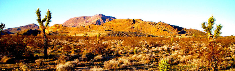 Mojave Desert, California Weather Forecast / Climate