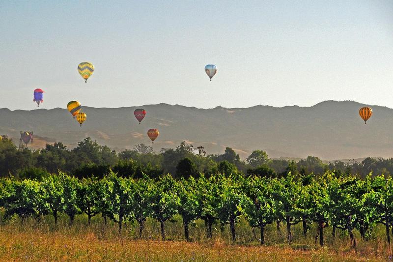 Sonoma County Tourism