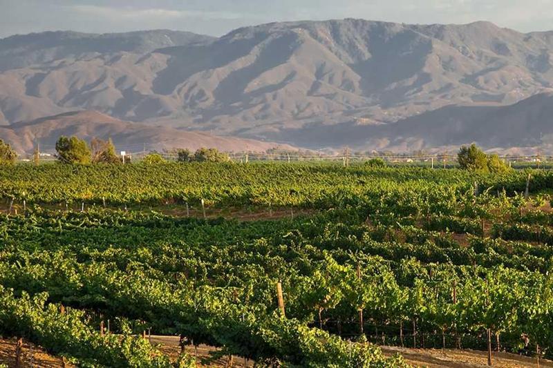 Temecula Valley Explore An Iconic Valley In Southern California Wine ...